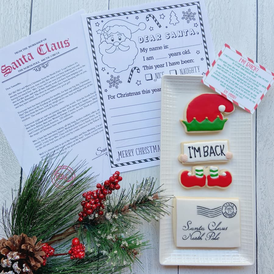 Return of the Elf Cookie Set - The Chocolate Dozen LLC