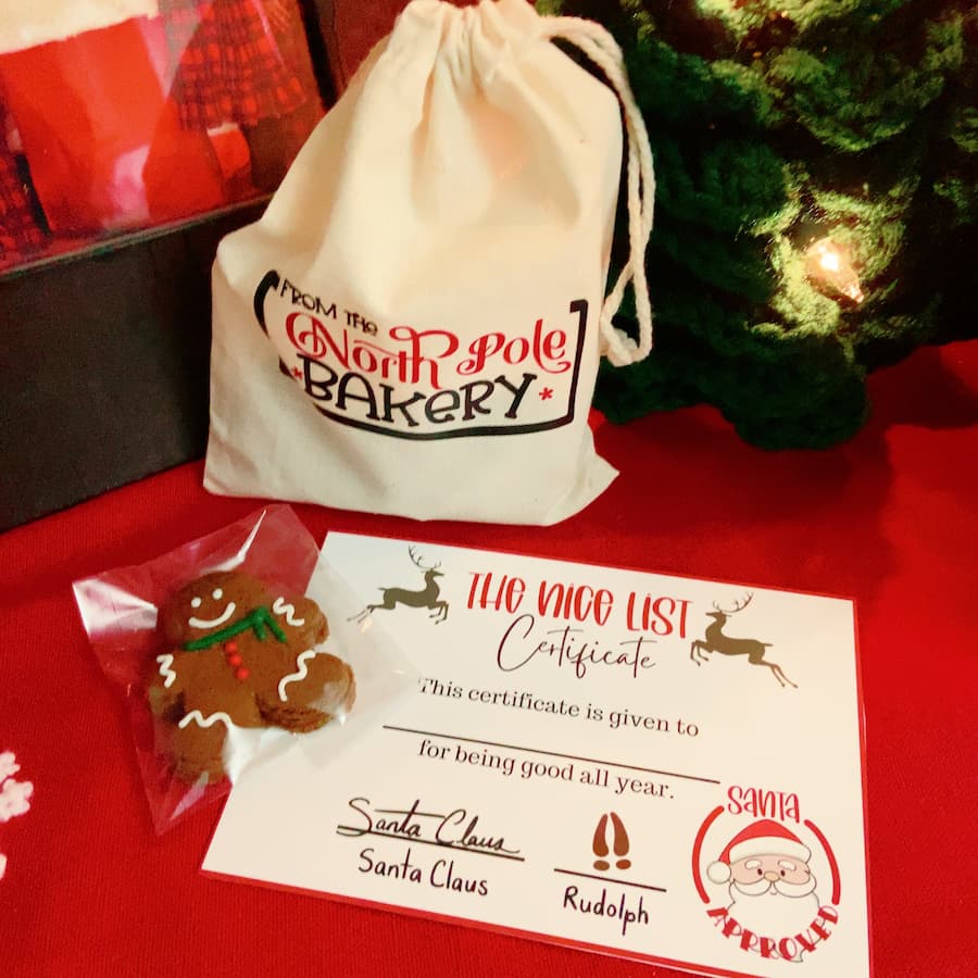 "Treat from Santa" Cookie Bag - The Chocolate Dozen LLC